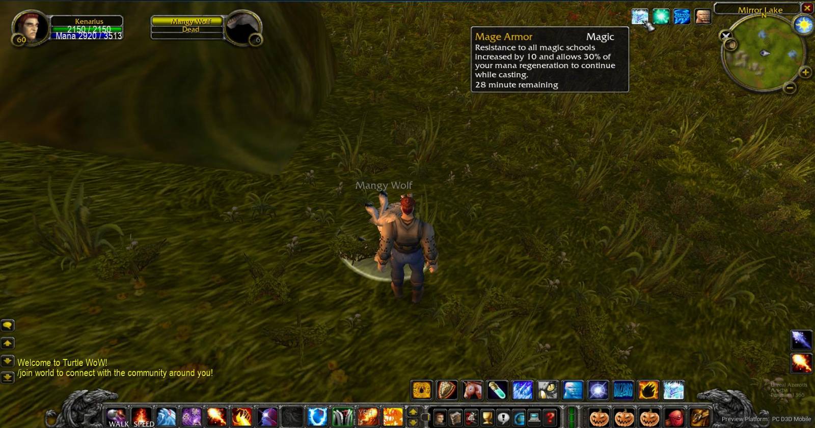 Turtle WoW 2.0 & Unreal Azeroth — Technical Report - Turtle WoW